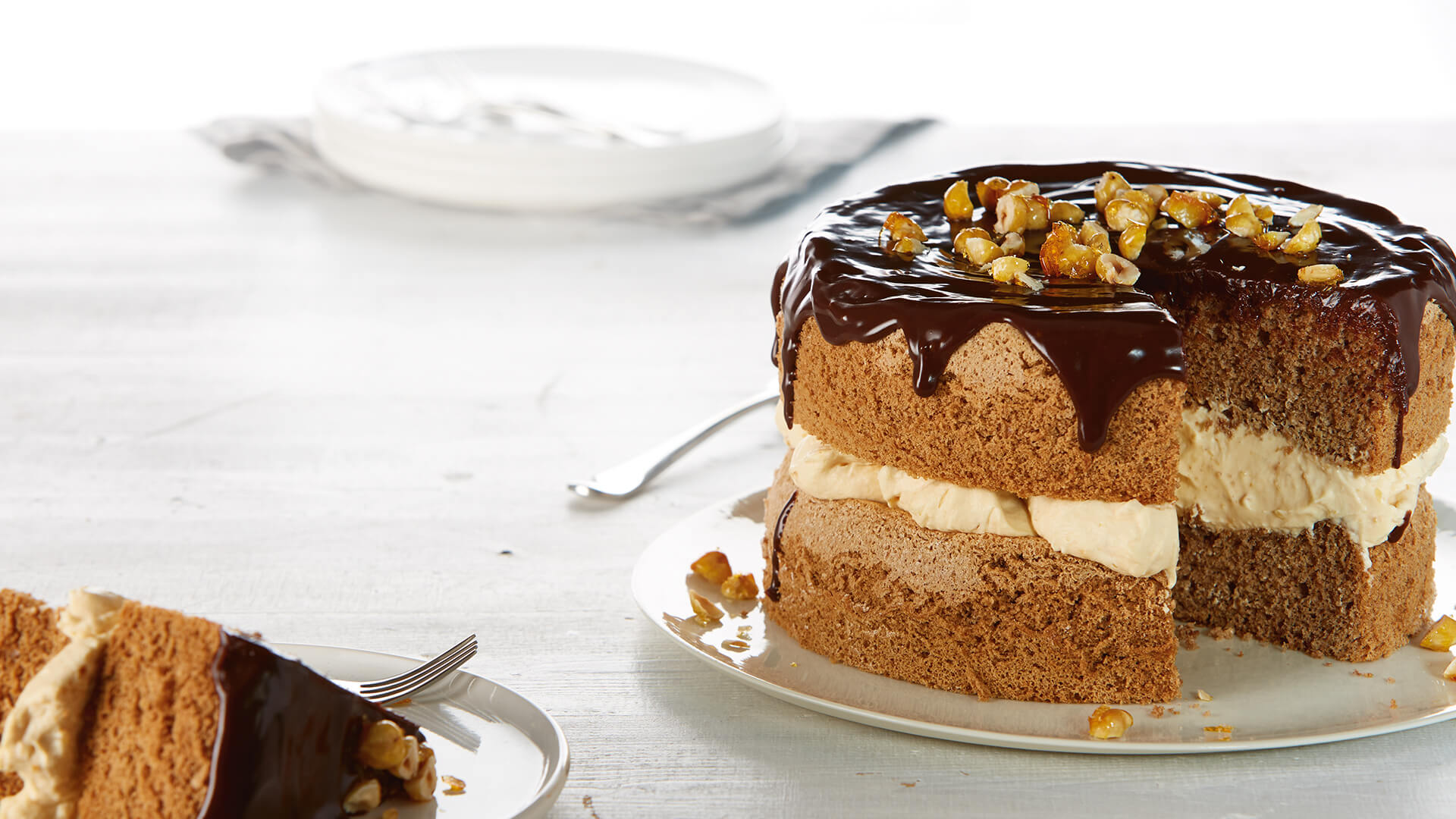 ginger fluff sponge with candied hazelnuts & chocolate sauce | Bulla ...